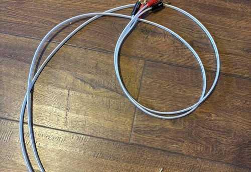 Qed Silver anniversary xt x-tube