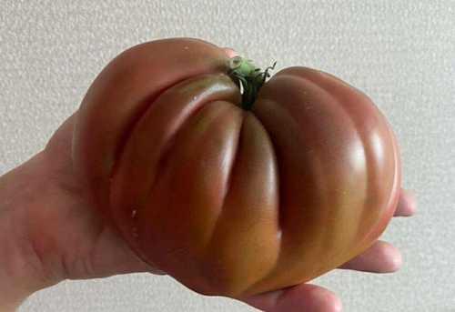 Семена (Рассада) гномов помидоров томатов