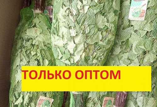 Веники для бани и травы опт под заказ