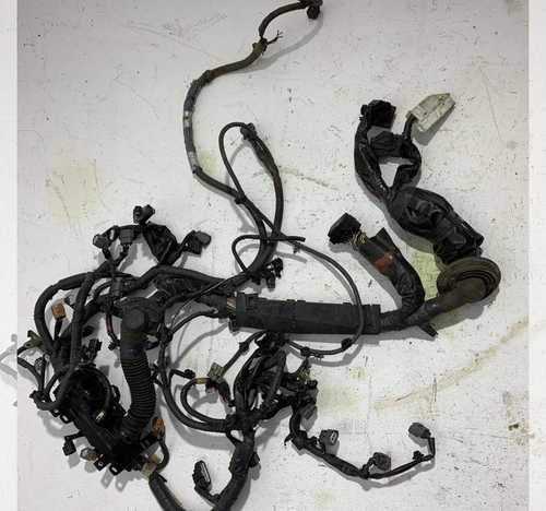 Проводка (коса) Infiniti QX70/FX S51