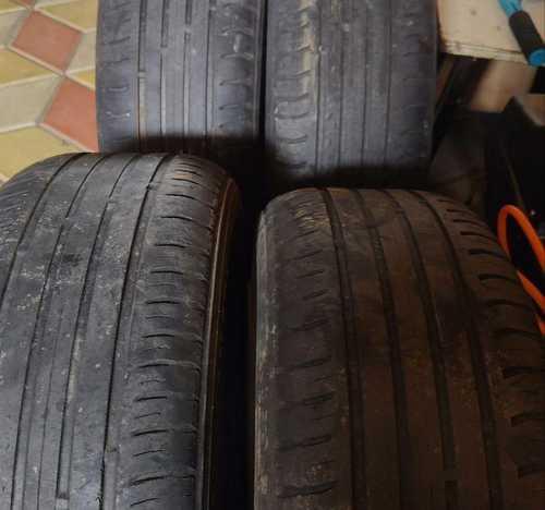 Nokian Tyres Nordman SX2 205/55 R16 91H