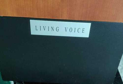 Living voice auditorium 2