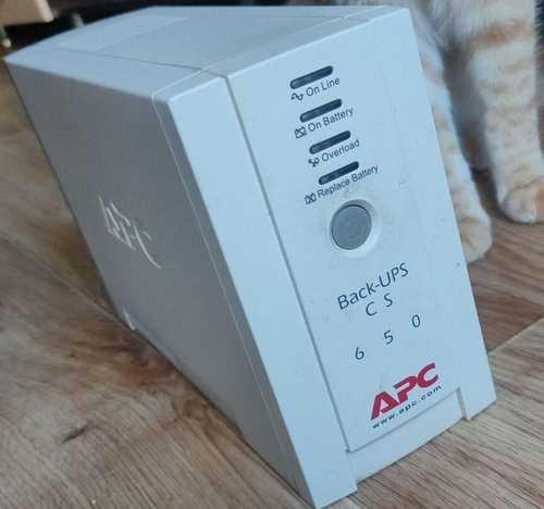 Ибп APC Back-UPS 650 VA BK650EI CS