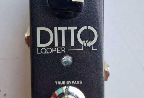 Tc electronic ditto looper