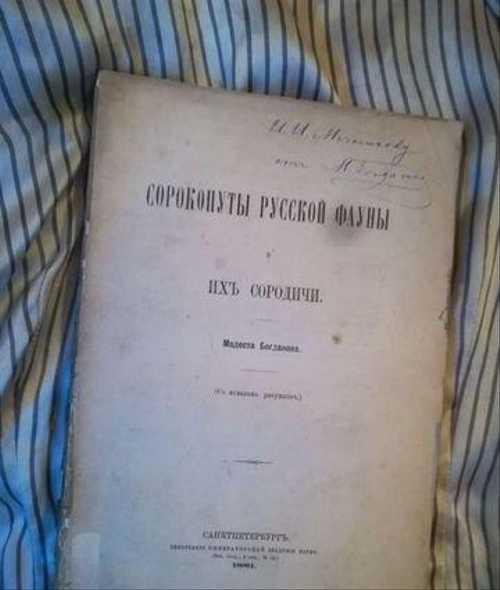 Сорокопуты русской фауны, 1881 г