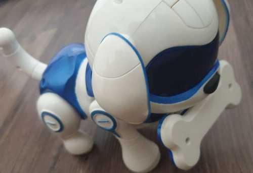 Игрушка робот собака Чаппи