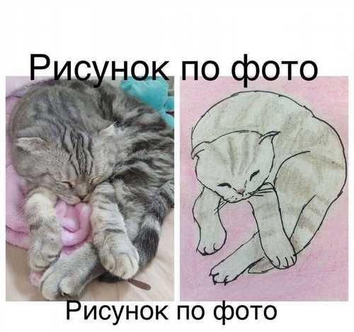 Рисунок вашего питомца