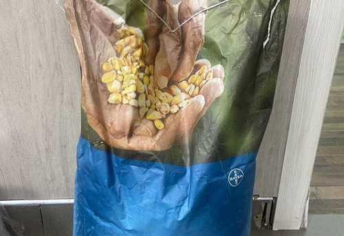 Семена кукурузы дкс От 100грамм