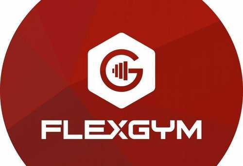 Абонемент в фитнес flex gym кристалл