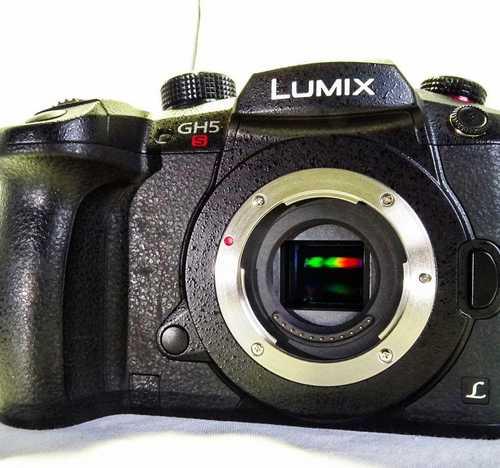 Panasonic Lumix GH5S Body