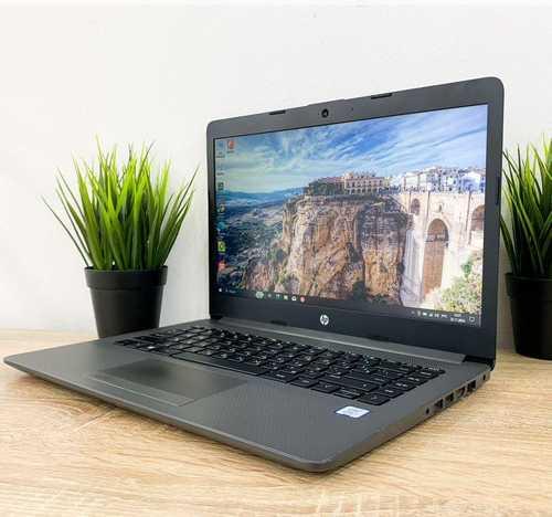 Ноутбук HP 14"/Intel Core i3/8Gb/SSD256Gb