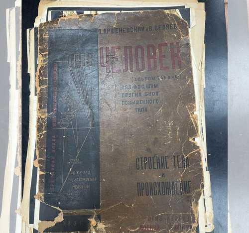 Человек (Альбом таблиц) 1931г редкость атлас