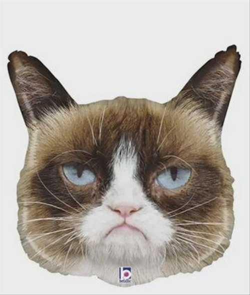 Воздушный шар Grumpy cat (Сердитая кошка), 71 см