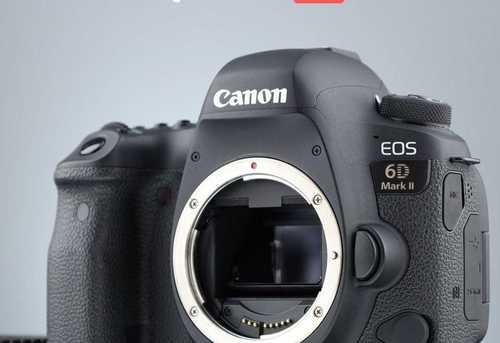 Canon EOS 6D Mark II Body (id-12231308)