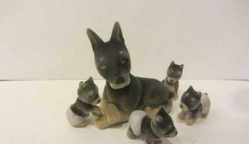 Собака флок со щенками коллекция,коллекция-пуделей
