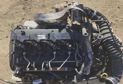 Двигатель (двс) Ford Transit drfb 2.2