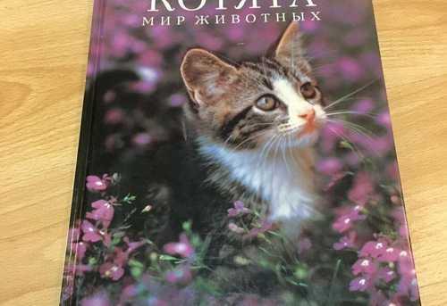 Книга Котята Мир животных