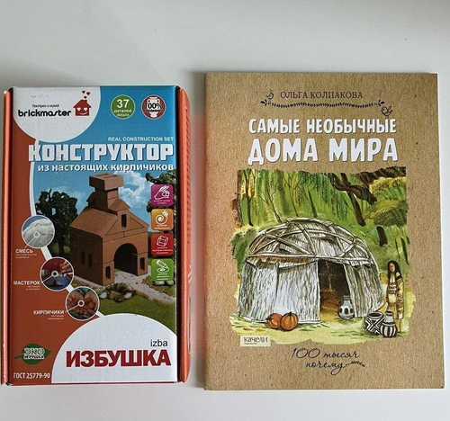 Конструктор из настоящих кирпичиков книга про дома