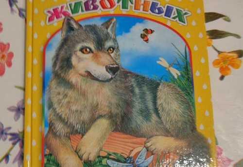 Детская книжка про мир животных