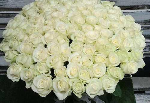 Букет из 87 роз Цветы Красноярск