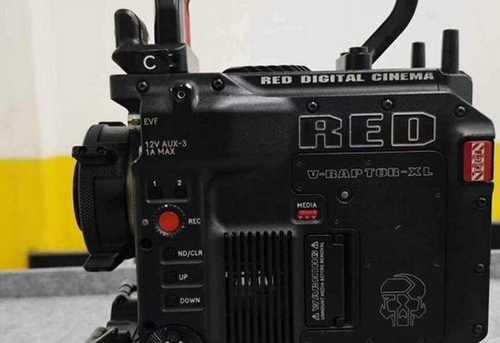 Камера Red Raptor XL 1600часоу