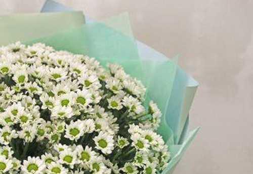 Букет из 25 белых кустовых хризантем Сантини