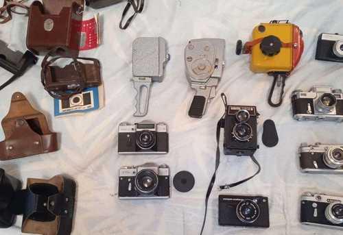 Коллекция фотоапаратов