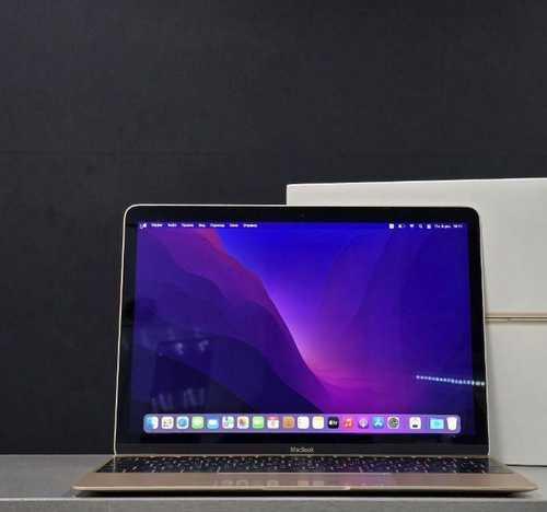 MacBook 12 (2016), 256 ГБ, Core m3, 1.1 ГГц, RAM 8 ГБ, Intel HD Graphics 515