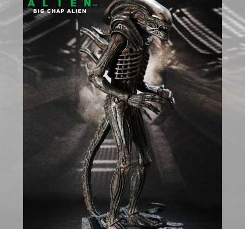 HOT toys MMS 106 alien – BIG chap