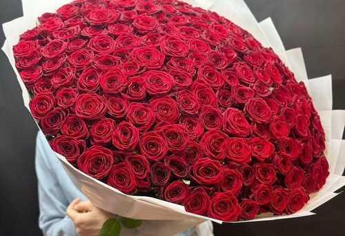 Букет из 151розы 70см / цветы розы с доставкой
