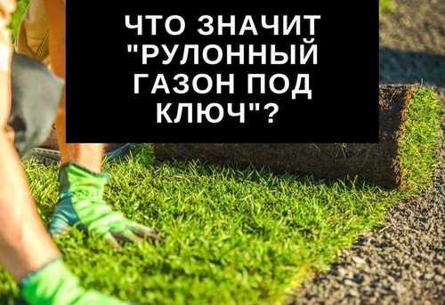 Рулонный газон