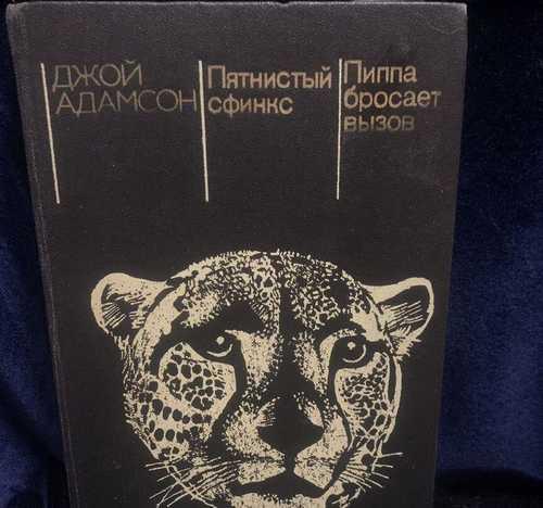 Книга Пиппа бросает вызов