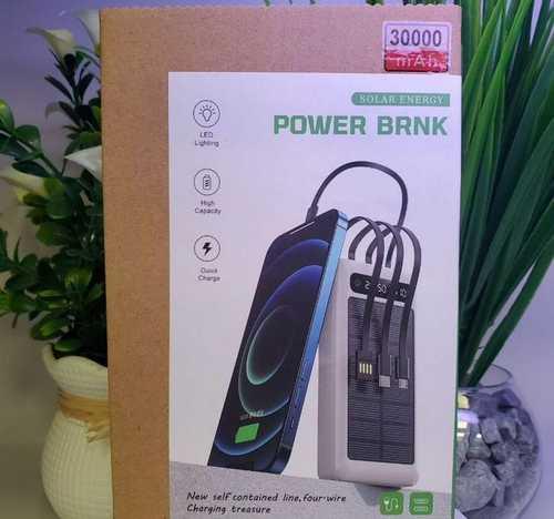 Powerbank 30000