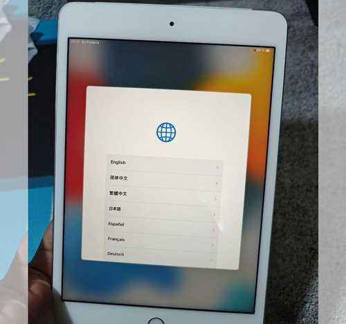 iPad mini 4 128g