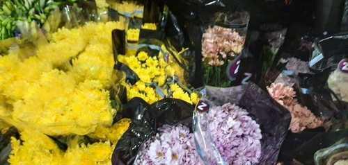 Хризантема кустовая Оптовая База Цветов Букеты