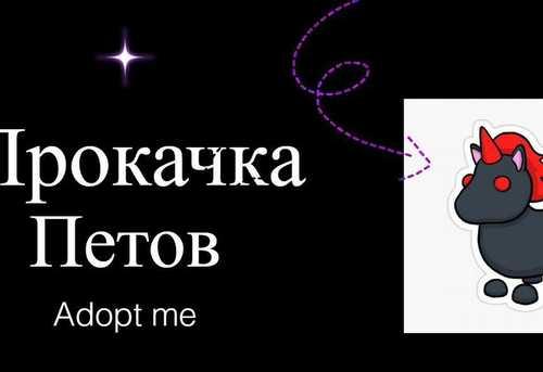 Прокачка петов(adopt me)