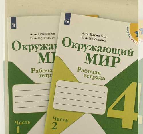 Рабочая тетрадь окружающий мир 4класс плешаков