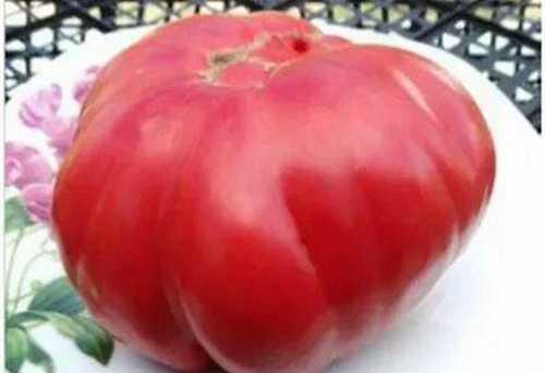 Семена томаты Бычья сумка Ребекки Себастьян