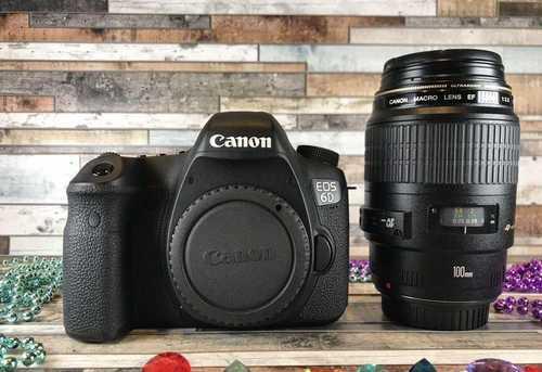 Canon EOS 6D kit 100mm 2.8 USM (A353)