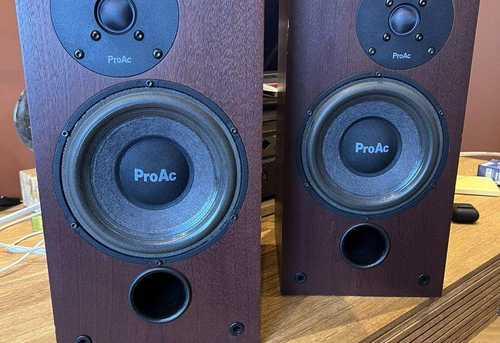 ProAc Studio 100 мониторы пассивные