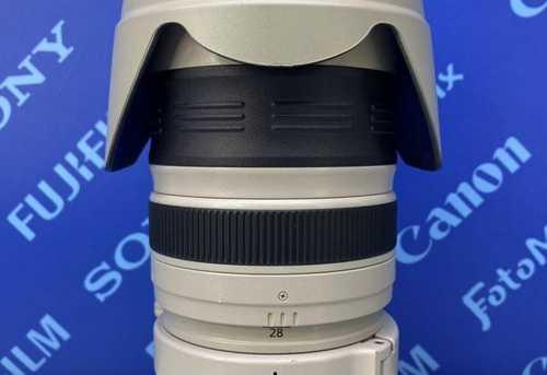 Canon EF 28-300mm f/3.5-5.6 L IS USM (sn:8615)