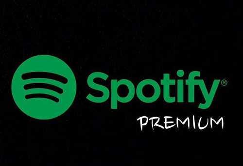 Spotify premium 3 6 12 мес