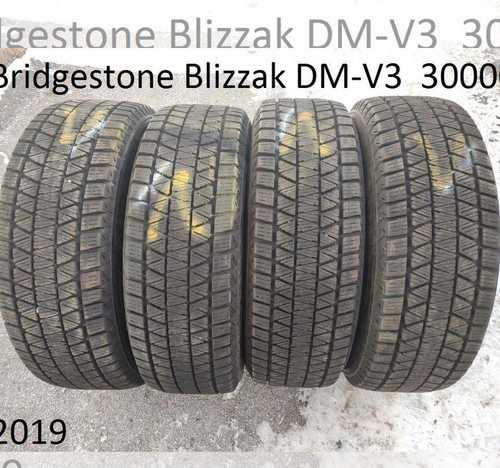 Bridgestone Blizzak DM-V3 225/65 R17