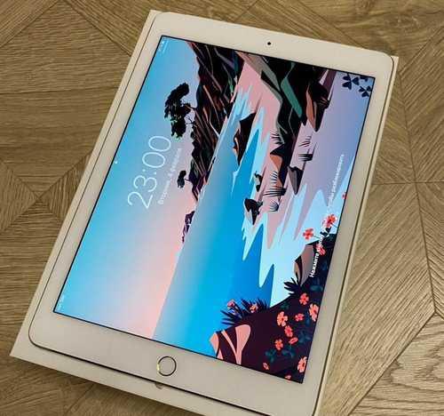 iPad Air 2