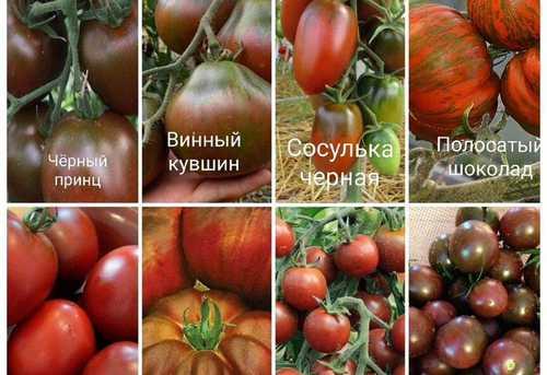 Семена томатов сортовых(коллекционных)и гибридов