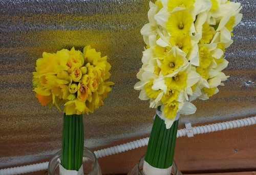 Нарциссы на Ветлужанке свежие цветы из Абхазии