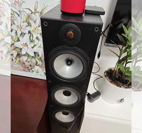 Напольные акустическая колонка monitor audio mr6