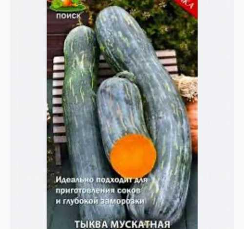 Семена тыквы мускатной