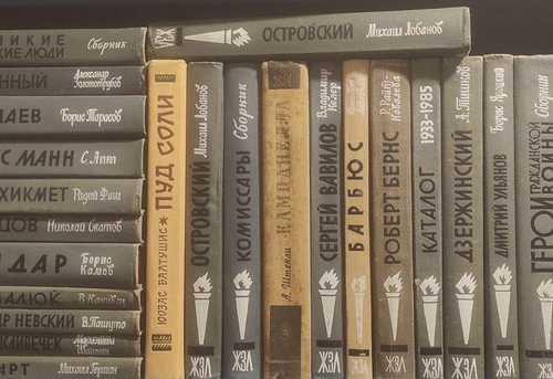 Советские книги серии жзл