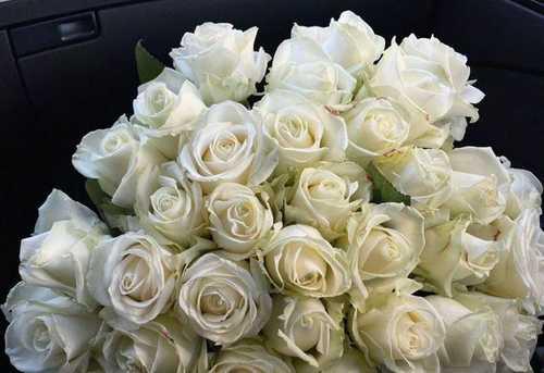 Розы. Белые розы. Букет роз белых